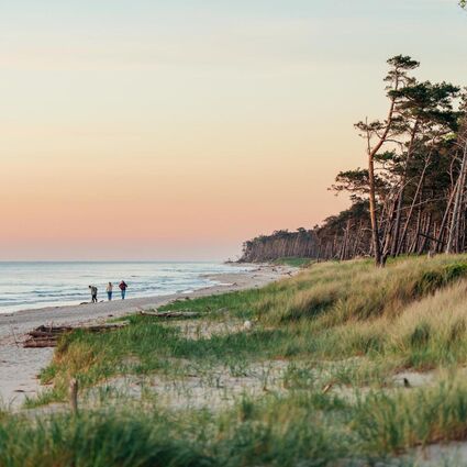 Live-Webcams auf Fischland-Darß-Zingst | Ostsee in Echtzeit erleben - Fischland-Darß-Zingst